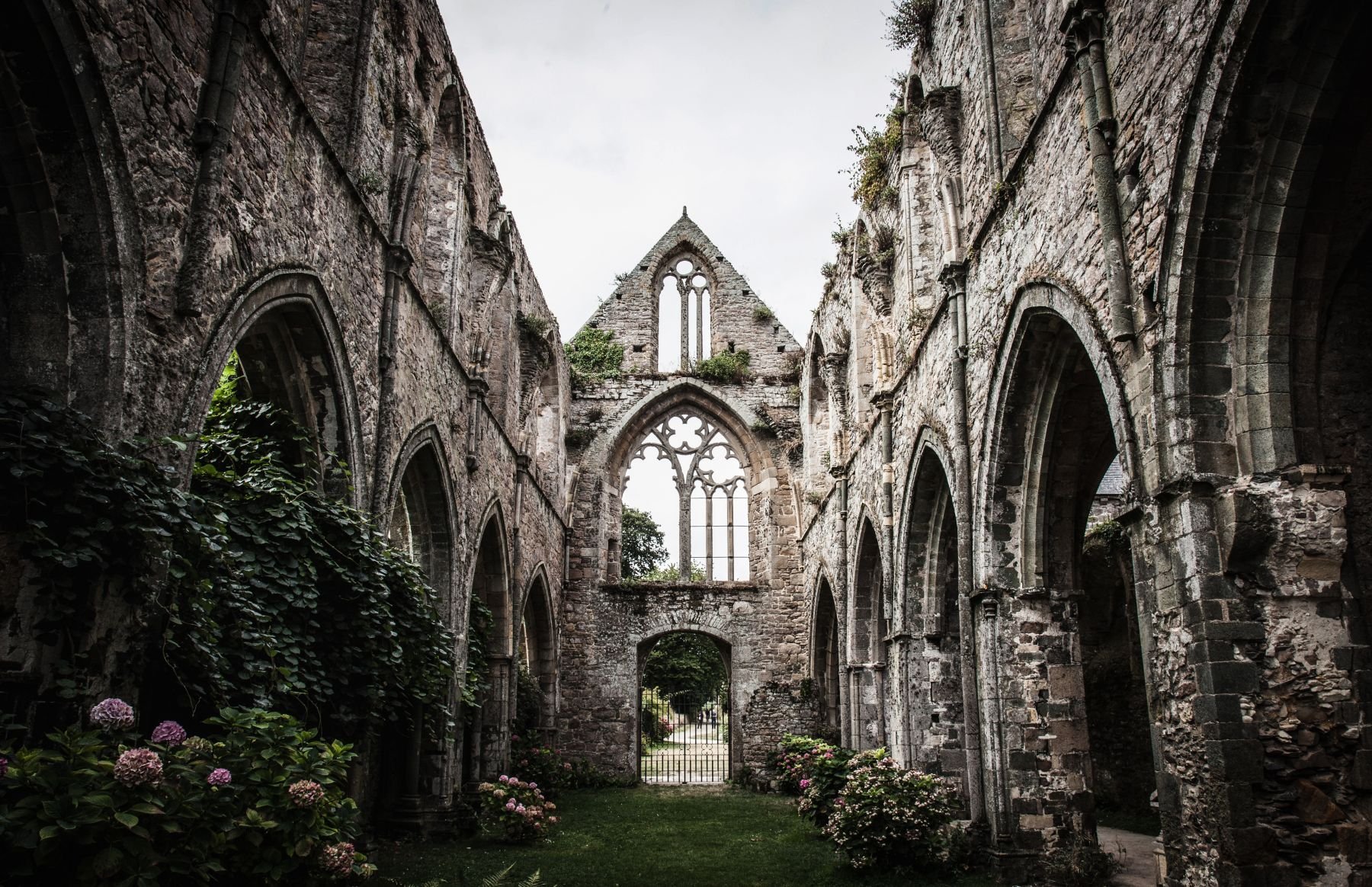 The Colors of La Cornue Ranges | Château & CornuFé