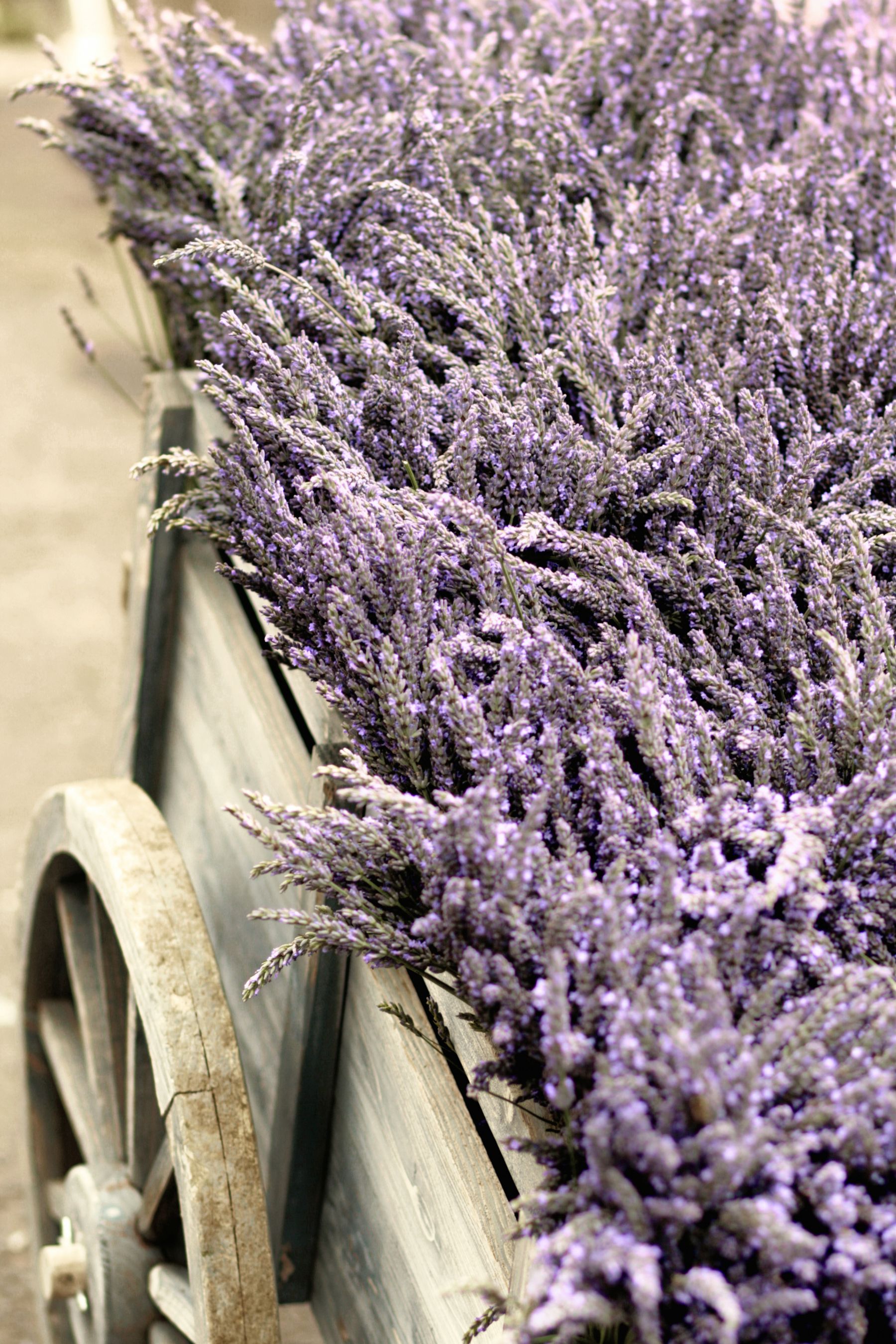 The Colors of La Cornue Ranges | Château & CornuFé